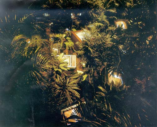 Tv Garden Nam June Paik | Fasci Garden