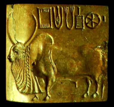 Indus Valley Civilization Coins