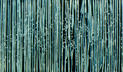 artnet.com Magazine Reviews - jon mccafferty at caren golden fine art