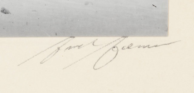 Oak Tree, Snow Storm, Yosemite, 1948 by Ansel Adams on artnet