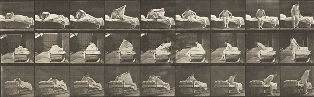 A selection of 4 plates from the pioneering motion study series Animal ...