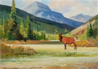 Douglas Allen | Artnet