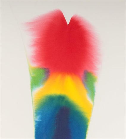 Phenomenon Phoenix Plume by Paul Jenkins on artnet