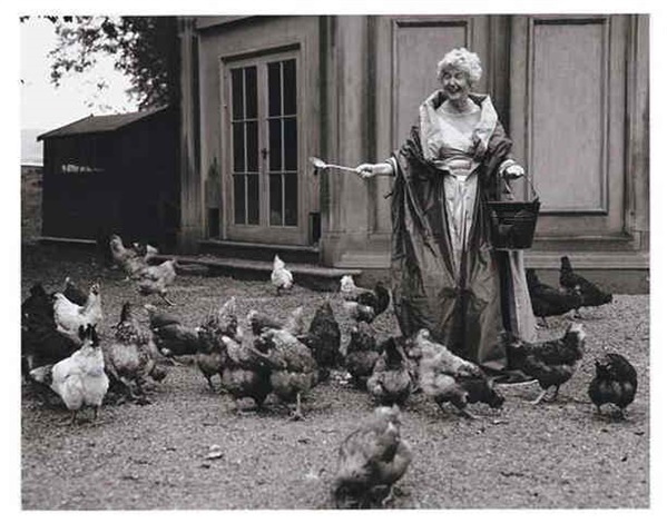 The Duchess of Devonshire feeding her chickens at Chatsworth, England ...