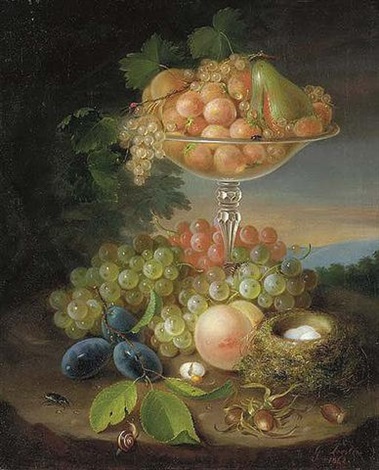 Still life with fruit, nest of eggs and insects by George Forster on artnet