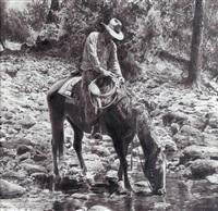 Robert (Shoofly) Shufelt | Artnet