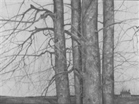 Tim Yum (Tin Yan) Lau | Artnet