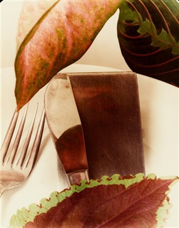 Untitled 70-1-78 Knife and fork by Jan Groover on artnet