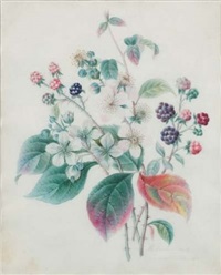 Marie-Caroline Brazier | Artnet