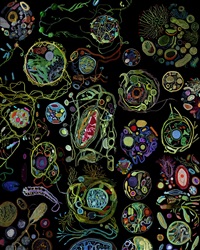 Entangled Others | Artnet