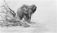 Allan Carter | Artnet