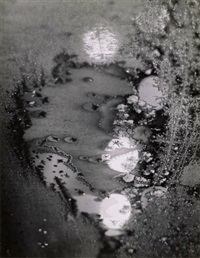 Minor White | Artnet