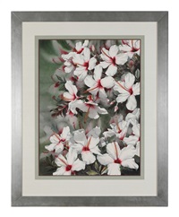 Darryl Trott | Artnet