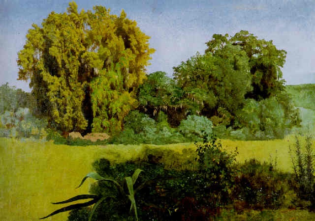 Ahuehuete by José María Velasco on artnet