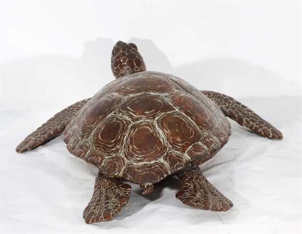 Turtle by David Cooke on artnet