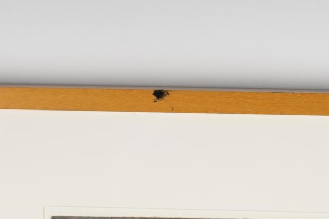 Untitled Scissors by Jim Dine on artnet