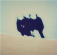 Michal Rovner | Artnet