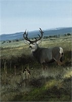 Through the Sage, Mule Deer, 2018 by Nicholas Coleman on artnet