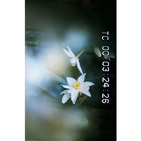 Colin Snapp | Artnet