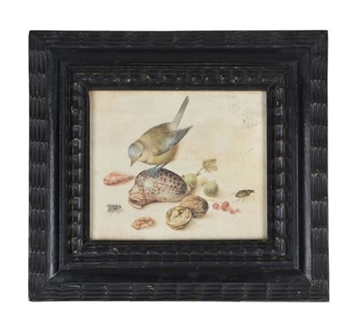 STILL LIFE WITH BLUE TIT, SHELLS, FRUITS AND INSECT by Georg Flegel on ...