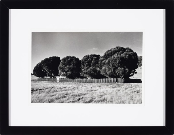 VANSITTART ISLAND, BASS STRAIT, TASMANIA, 2005 by Ricky Maynard on artnet