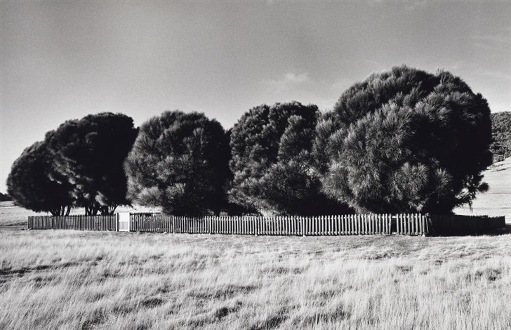 VANSITTART ISLAND, BASS STRAIT, TASMANIA, 2005 by Ricky Maynard on artnet