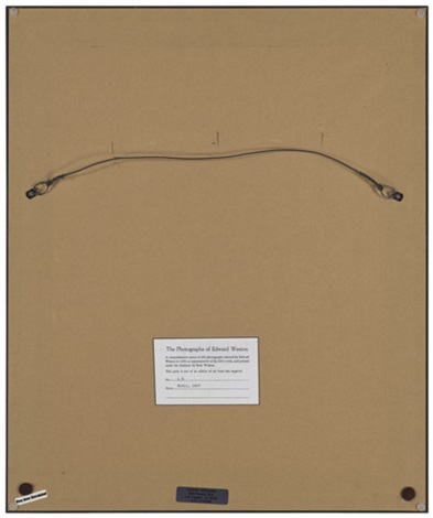 Shell, 1927 by Edward Weston on artnet