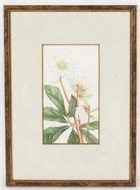 Mary Grierson | Artnet