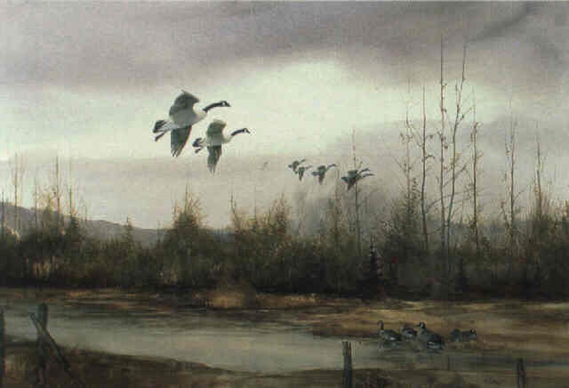 Canadians by Tom Sander on artnet