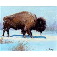 John Demott | Artnet