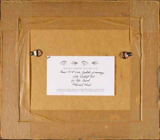 154 Croc, Eyelids of Morning, Lake Rudolf, 1965 by Peter Beard on artnet