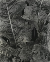 Paul Strand | Artnet