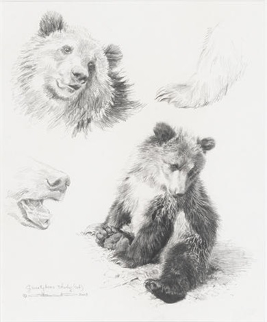 Four studies from nature including - Flying Stellers Jay - Meerkats ...