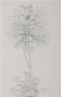 Sam Szafran | Artnet