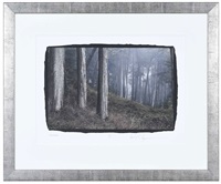 Vincent Versace | Artnet