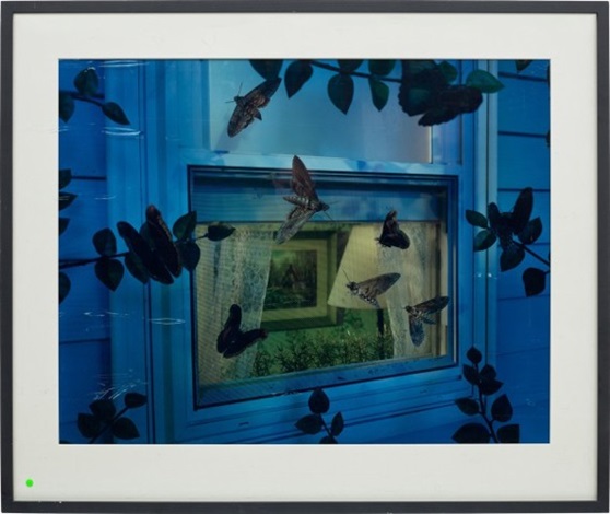 Untitled window with screen by Gregory Crewdson on artnet
