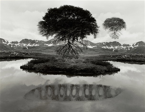 Untitled Floating Tree by Jerry Uelsmann on artnet