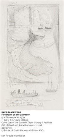 Fire Down on the Labrador by David Lloyd Blackwood on artnet