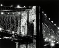 Joel Greenberg | Artnet