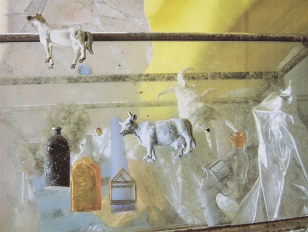 Selected Images by Jan Groover on artnet