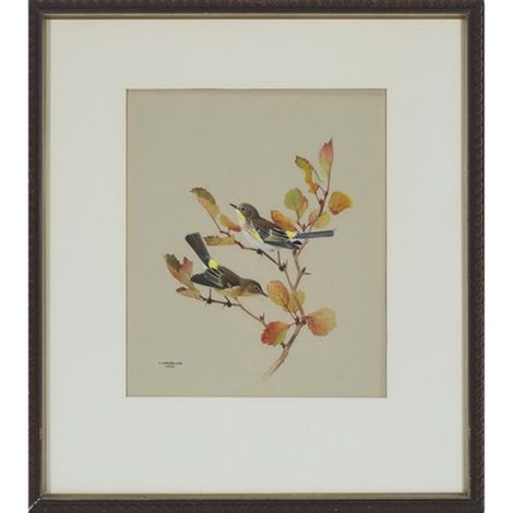 AUDUBON WARBLER, 1958 by James Fenwick Lansdowne on artnet