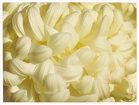 Meryl Levin | Artnet