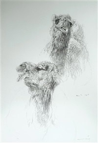 Raymond Harris Ching | Artnet