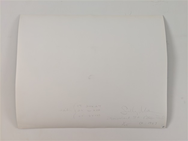 Equivalent 2 Possum Tail by Sally Mann on artnet