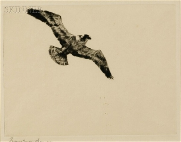 Soaring fish hawk by Frank Weston Benson on artnet