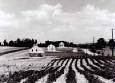 Arthurdale, West Virginia by Walker Evans on artnet