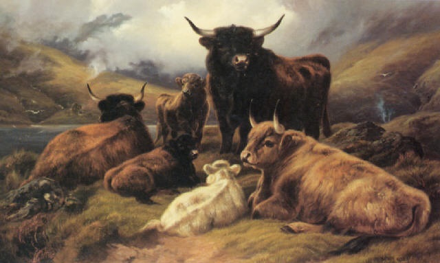 Cattle in the highlands by Robert F. Watson on artnet
