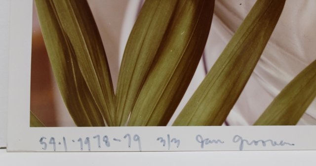 Still Life with Forks by Jan Groover on artnet