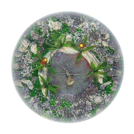 Delmo Tarsitano spider magnum paperweight from the Earthlife series by ...