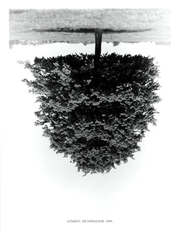 Flanders Trees by Rodney Graham on artnet